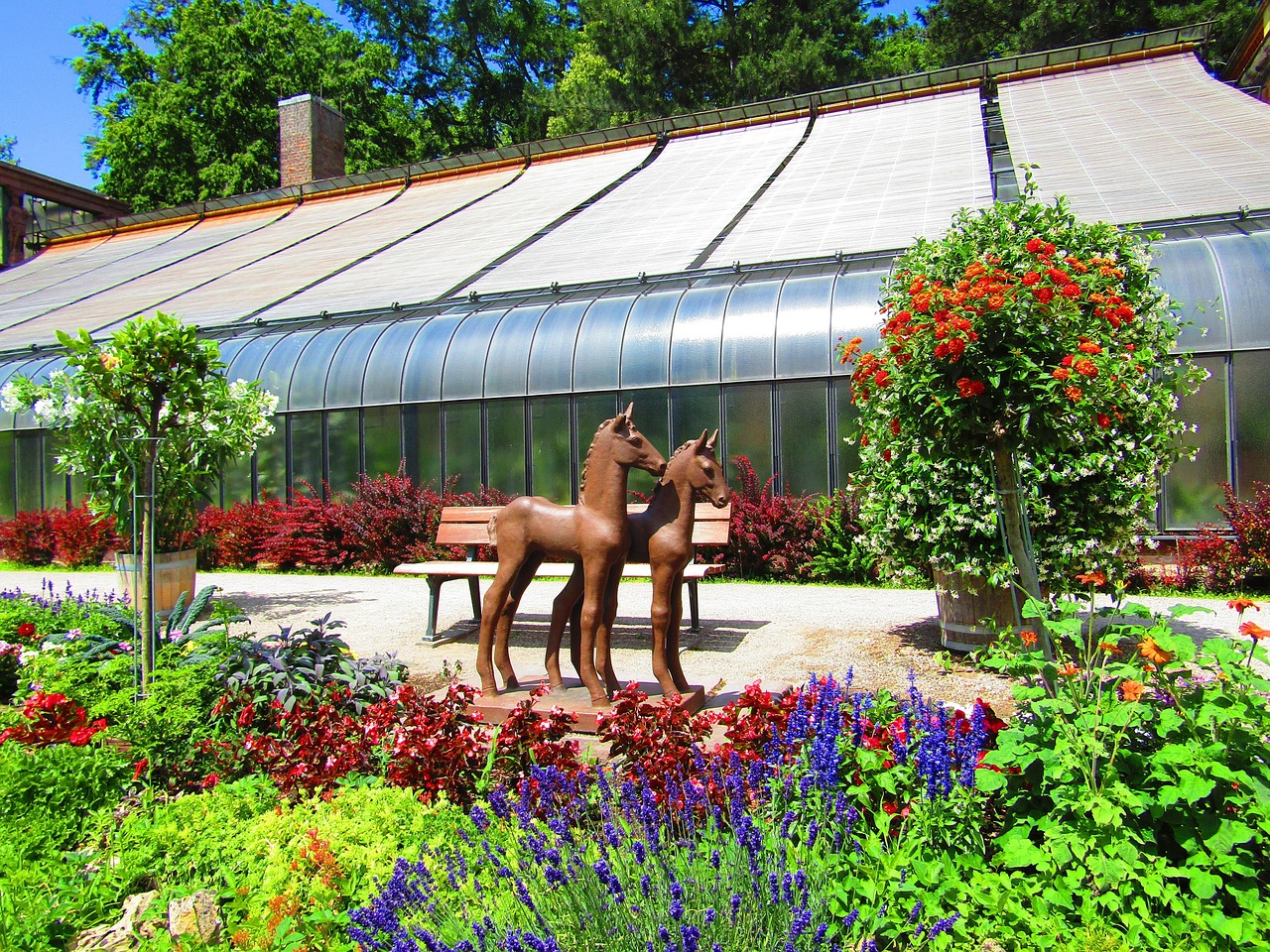 Botanischer Garten - Kostenloses Foto auf Pixabay - Pixabay