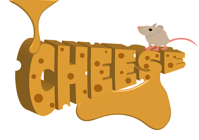 40+ Free Mouse Cheese & Mouse Illustrations - Pixabay