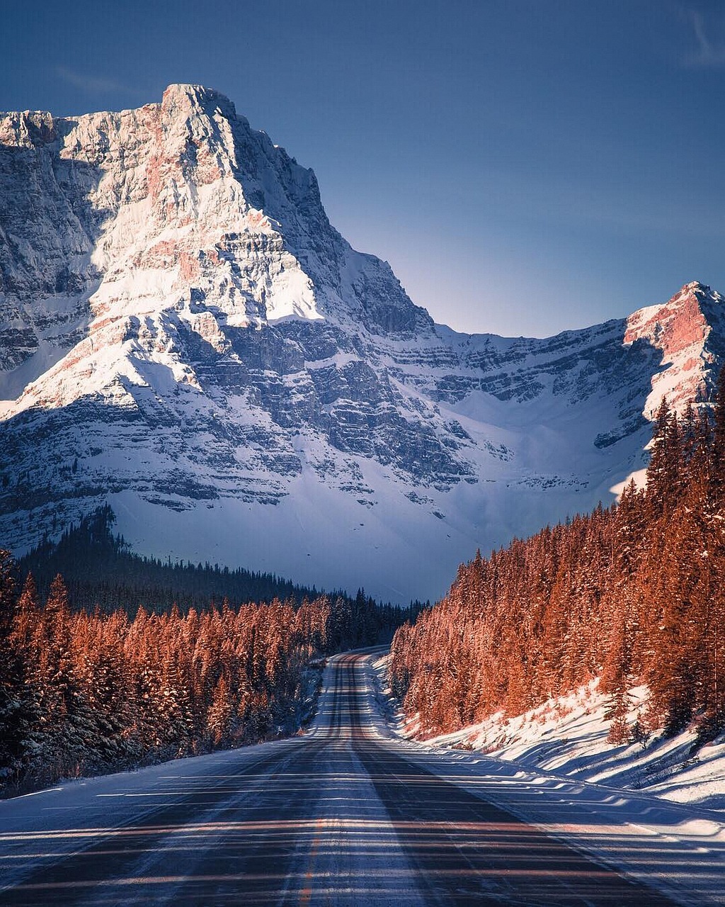 9,000+ Free Canada Comida & Canada Images - Pixabay