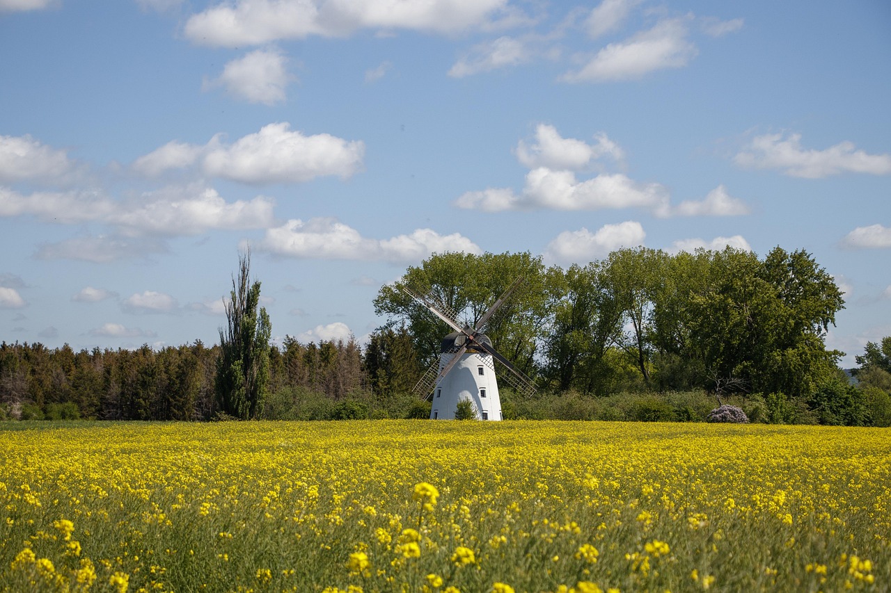Landscape Windmill Heaven - Free photo on Pixabay - Pixabay