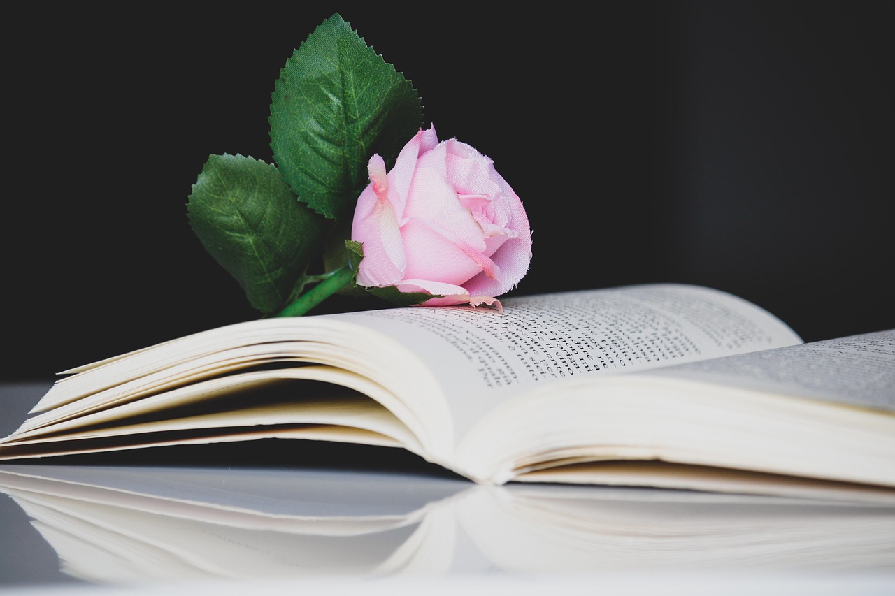 Rose Flower Book - Free photo on Pixabay