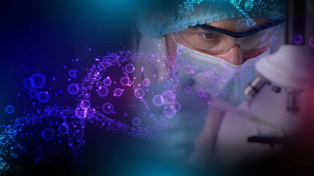Technicien De Laboratoire Docteur - Photo gratuite sur Pixabay - Pixabay