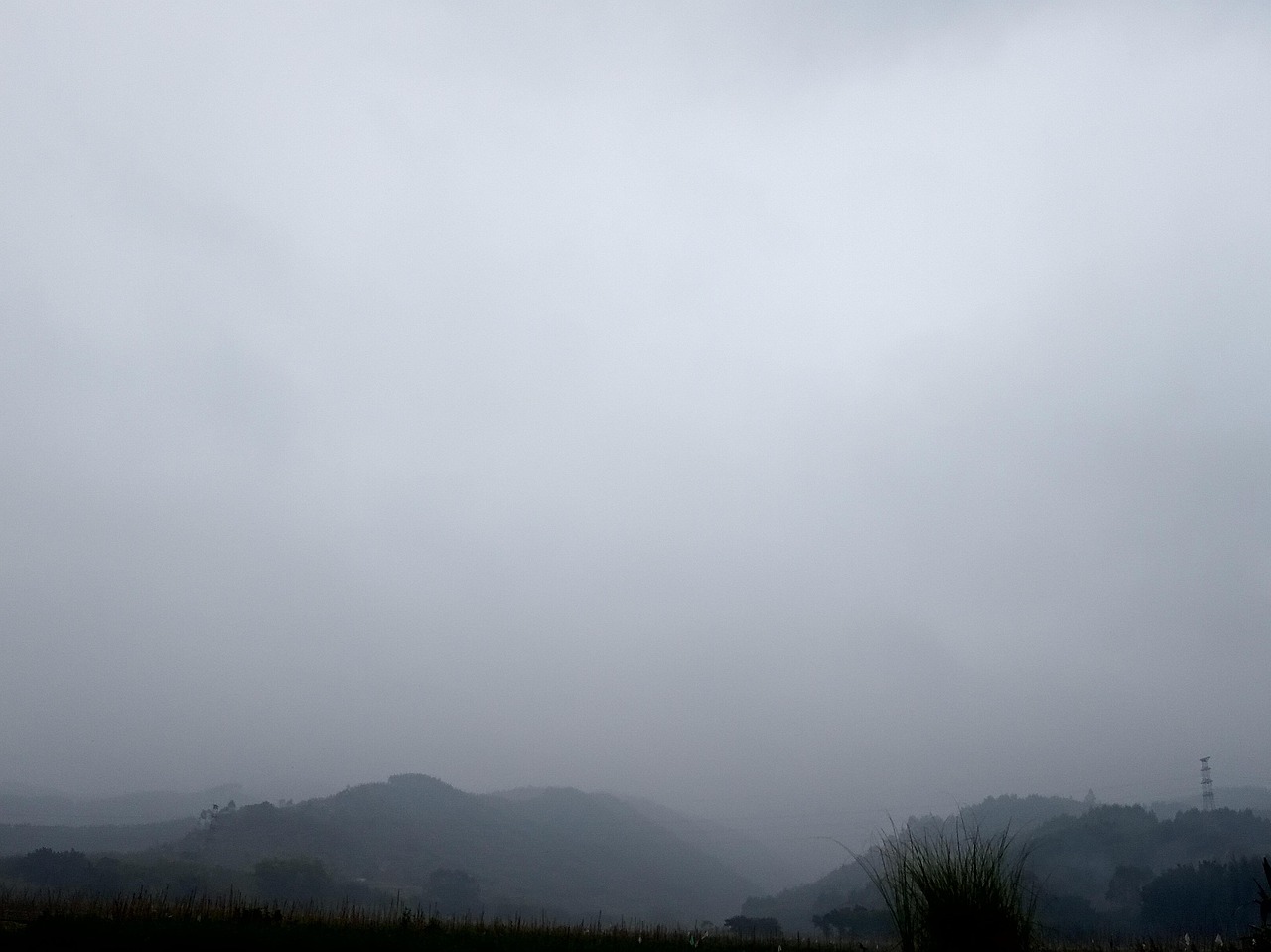 Clima Dia De Nevoeiro - Foto gratuita no Pixabay - Pixabay