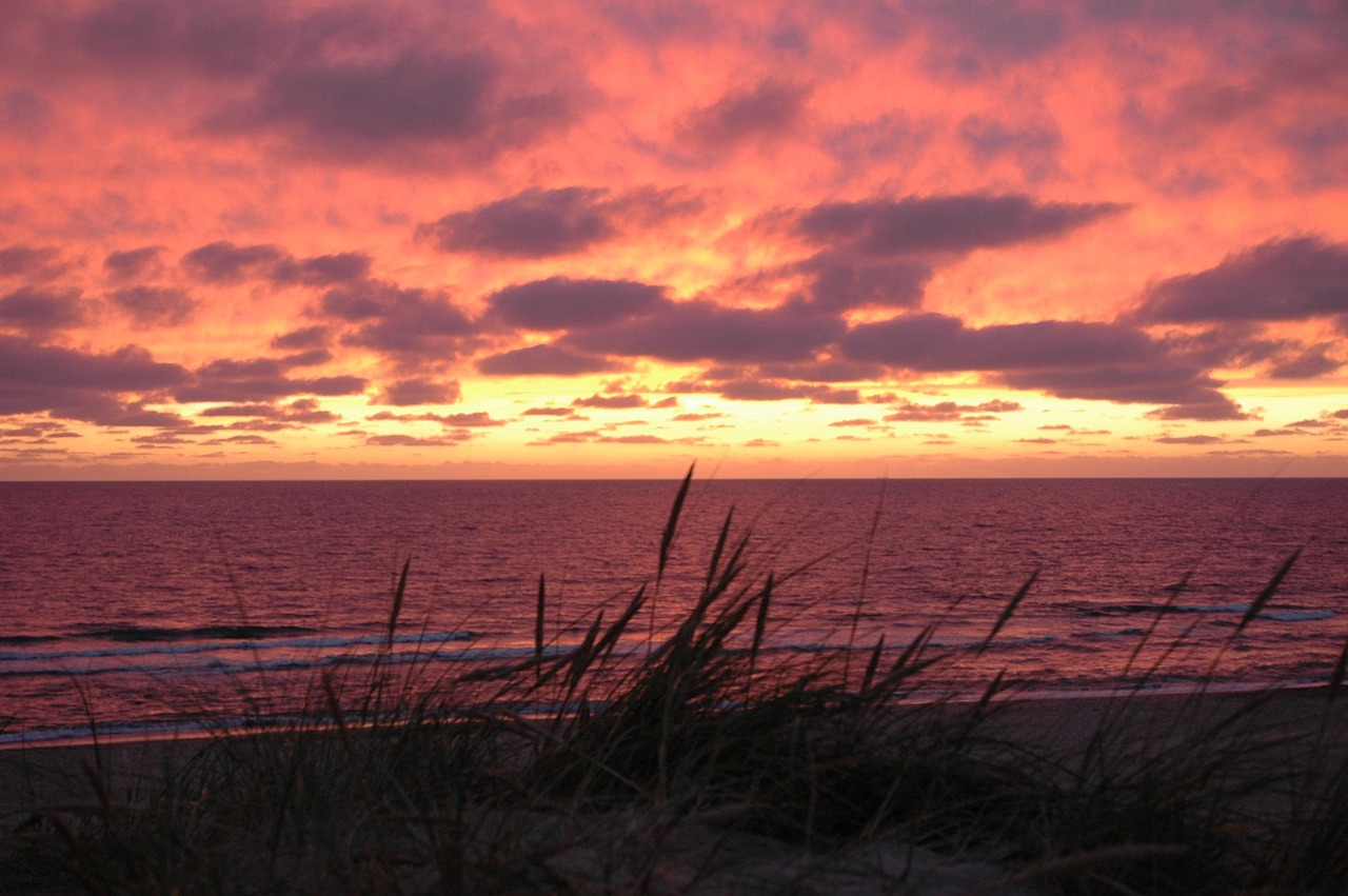 Denmark Sunset Summer North - Free photo on Pixabay - Pixabay