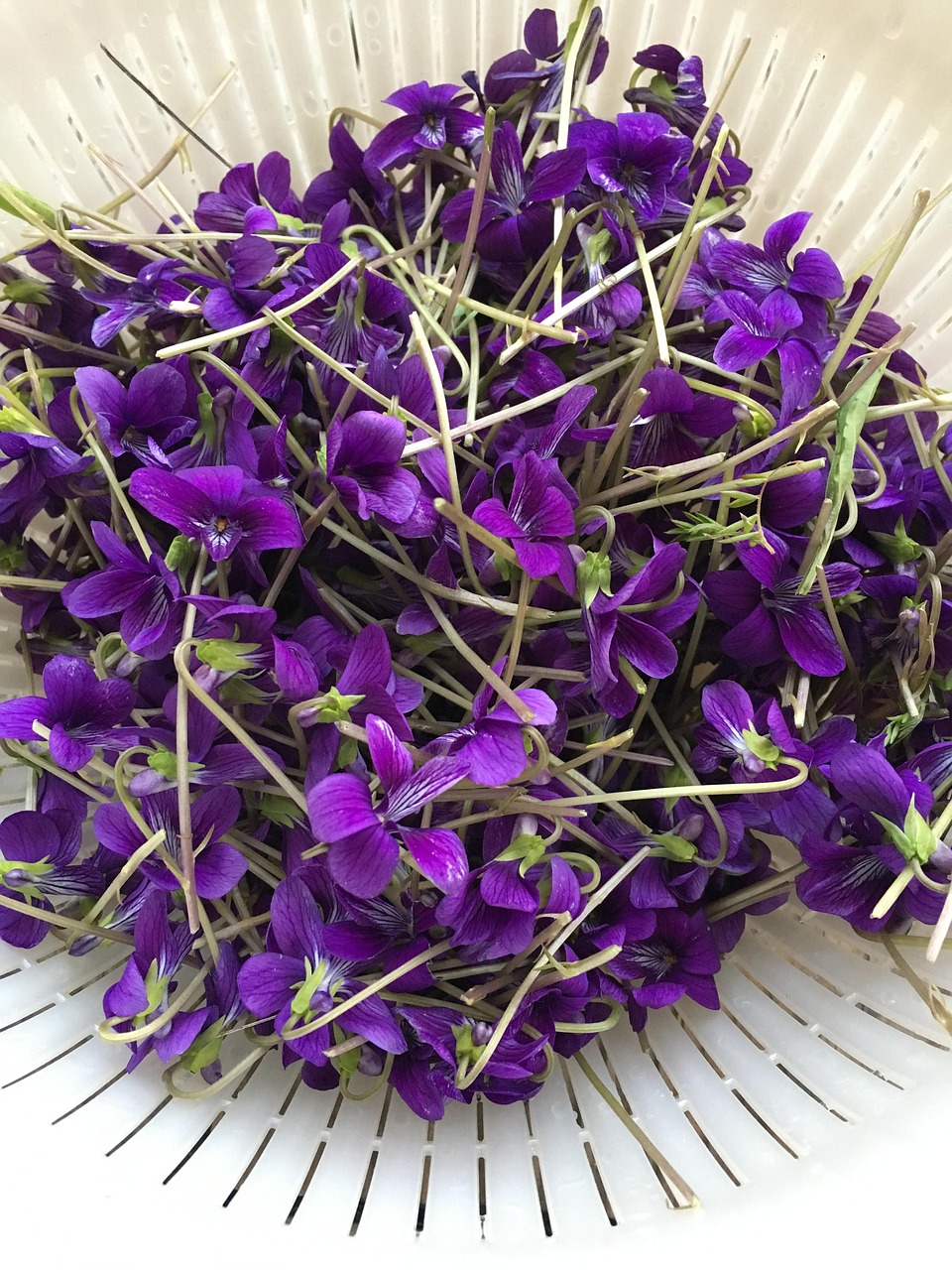 Les Violettes Violet Ingrédients - Photo gratuite sur Pixabay - Pixabay