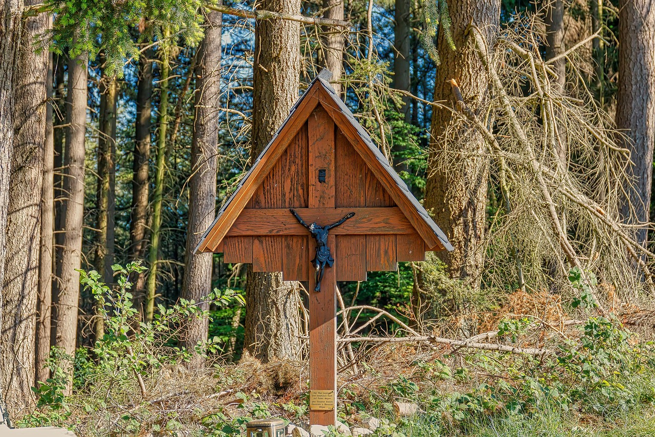 Plus de 100 000 images de Kostenlose Bilder Natur Wald et de Nature ...