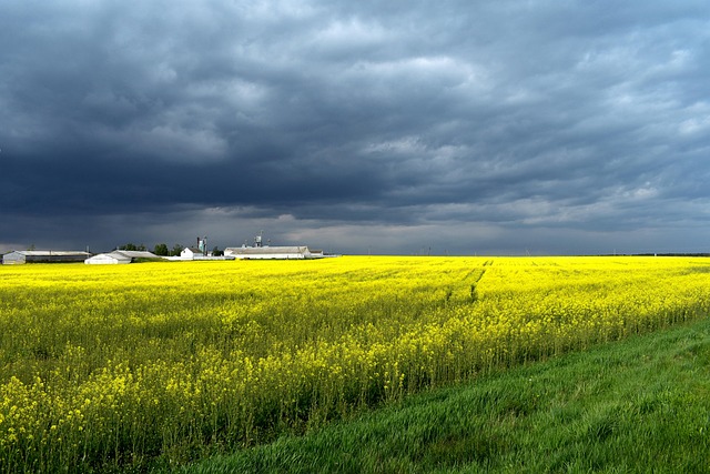 Bad Weather Storm Thunderstorm - Free photo on Pixabay - Pixabay