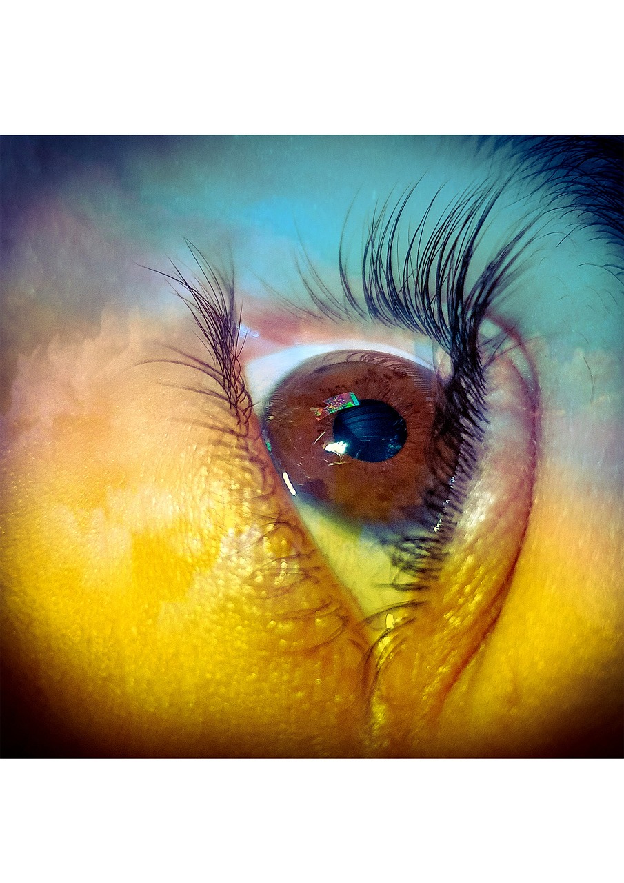 Brillo De Un Ojo Pestañas - Free photo on Pixabay - Pixabay