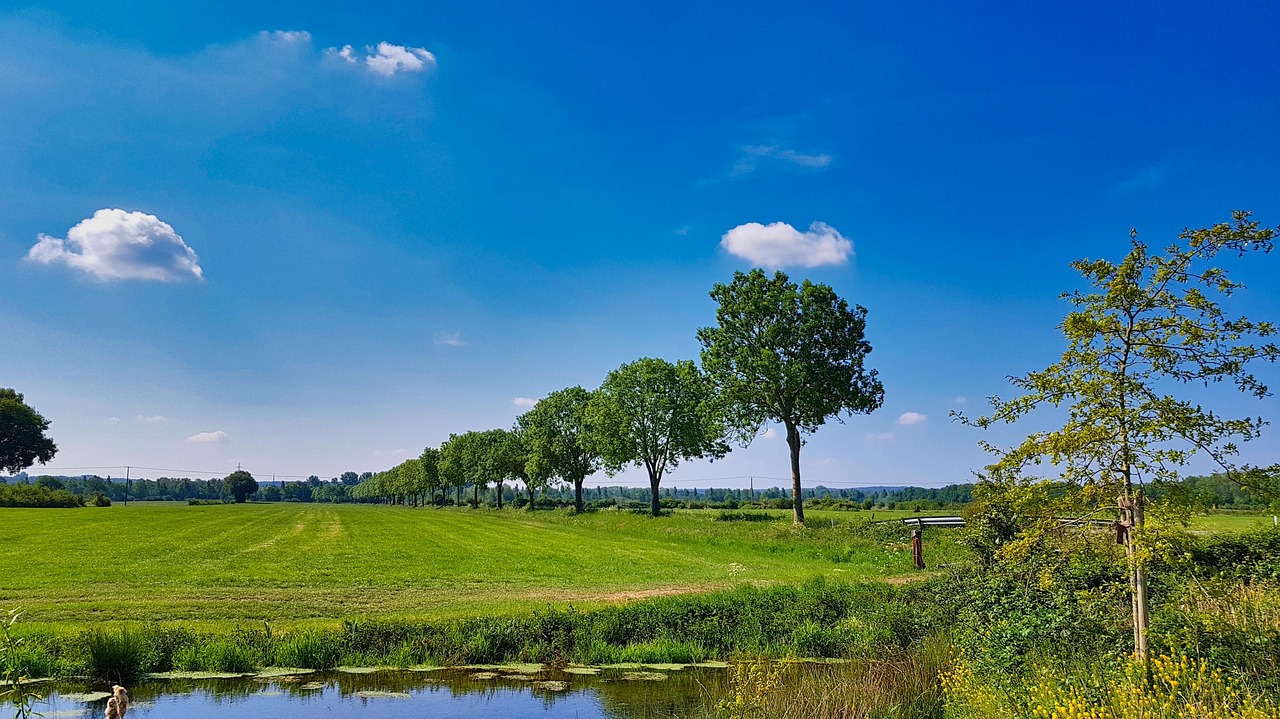 Niederrhein 자연 풍경 - Pixabay의 무료 사진 - Pixabay