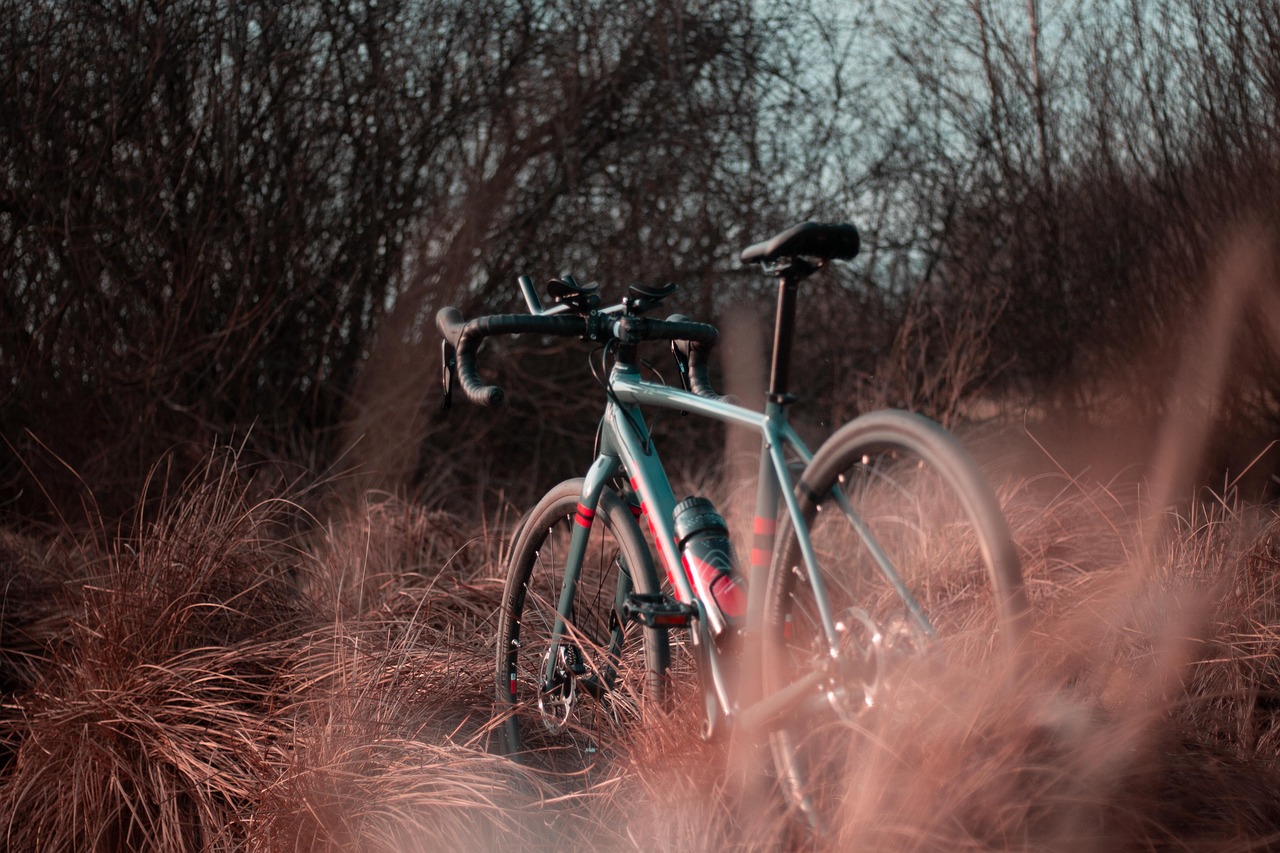 Bike Trips Tour - Free photo on Pixabay