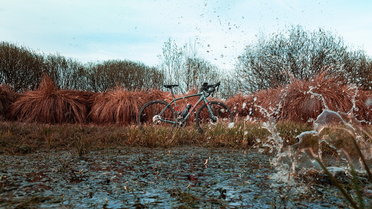 Bike Trips Tour - Free photo on Pixabay - Pixabay