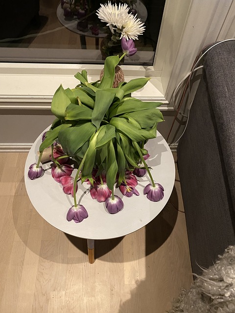 Sad Flowers Tulips - Free photo on Pixabay - Pixabay