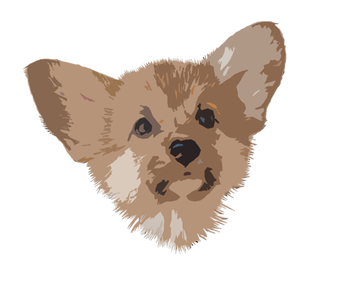 Pembroke Gallois Corgi - Image gratuite sur Pixabay - Pixabay