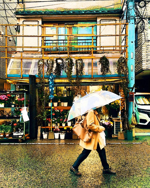 Download Flower Shop Street Royalty-Free Stock Illustration Image - Pixabay