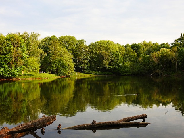 Park Su Doğa - Pixabay'de ücretsiz fotoğraf - Pixabay