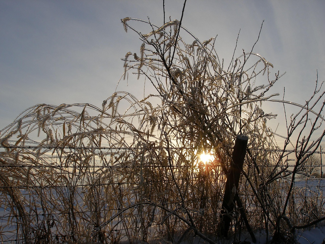 Winter Eisig - Kostenloses Foto auf Pixabay - Pixabay