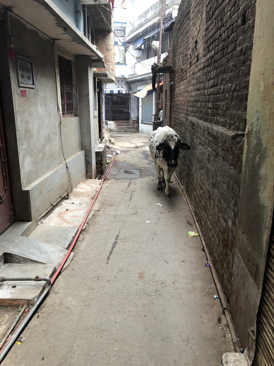 India Alley - Free photo on Pixabay - Pixabay