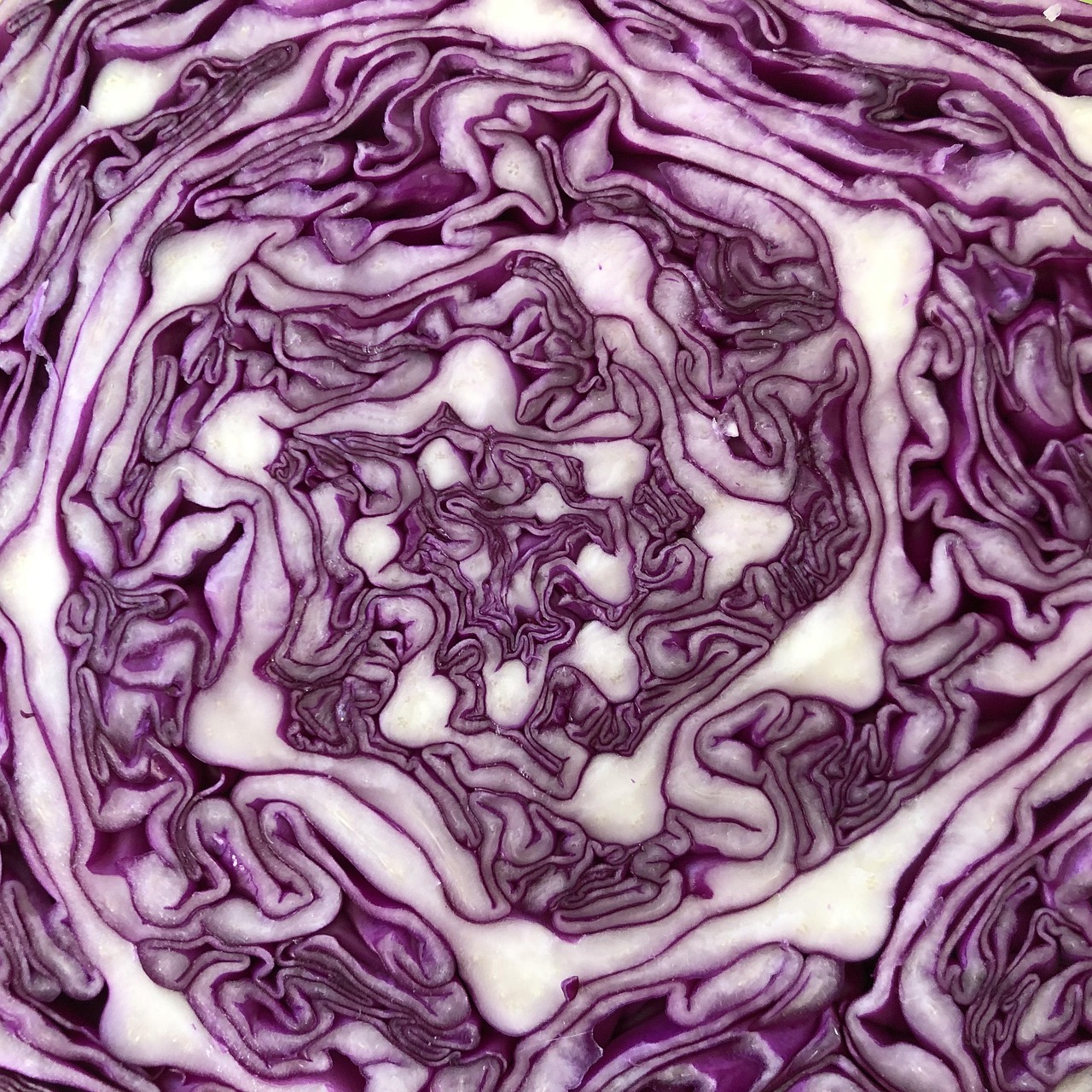 Más de 100 000 imágenes gratis de Imgenes De Color Morado y Fondo ...