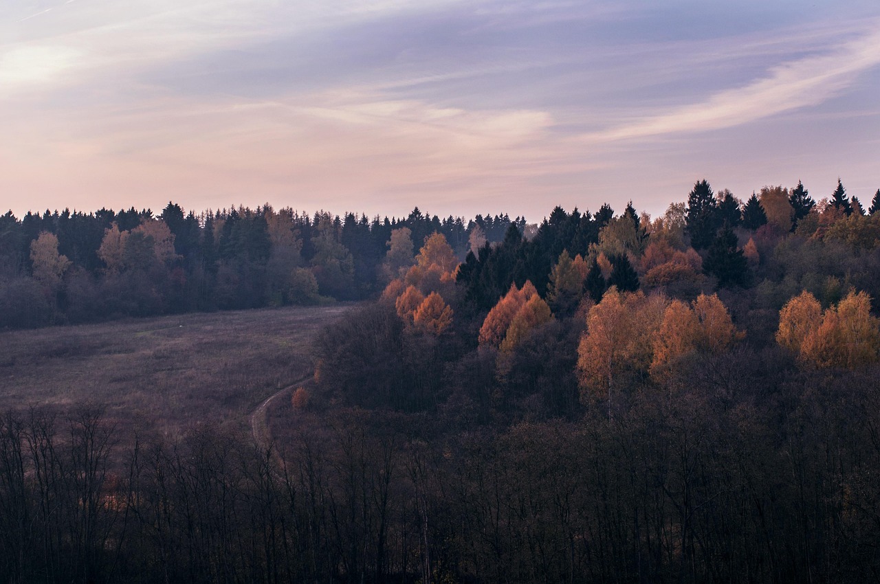 Automne Paysage La Nature Les - Photo gratuite sur Pixabay - Pixabay