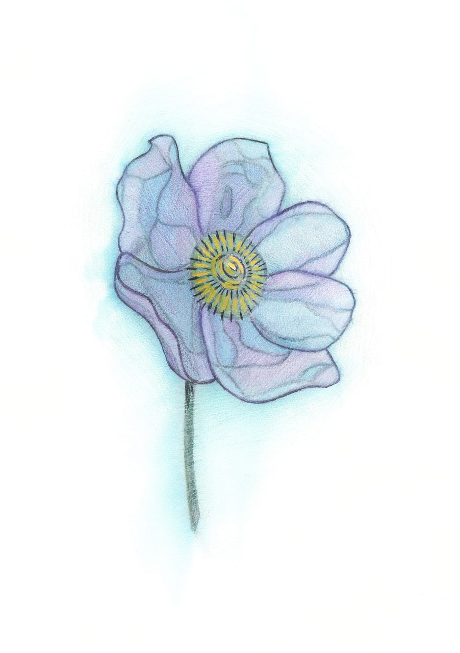 Flower Drawing Blue - Free image on Pixabay