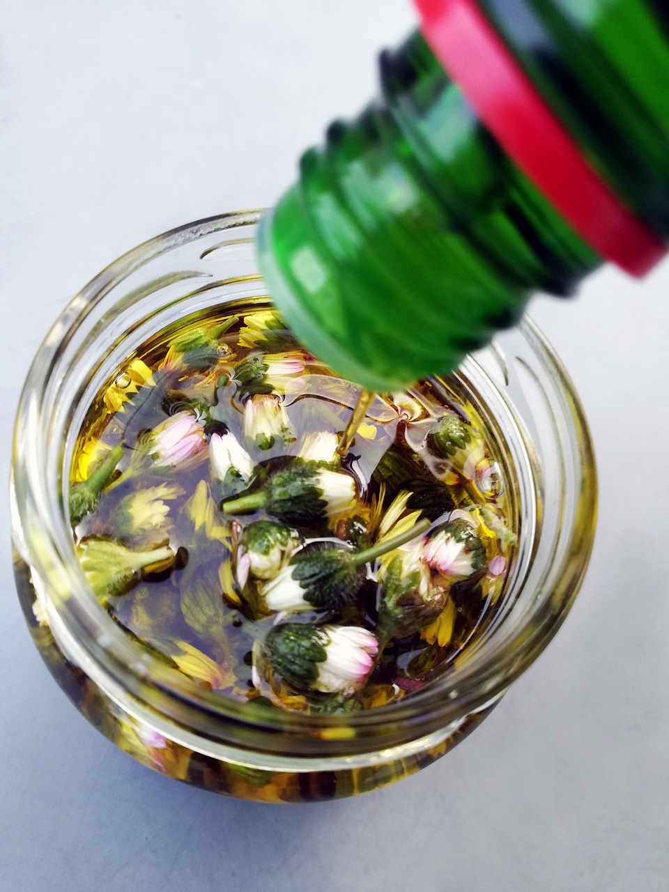 Oil Daisies Daisy - Free photo on Pixabay