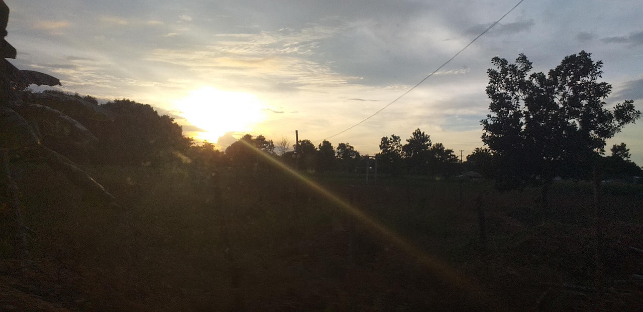 Scenery Field - Free photo on Pixabay