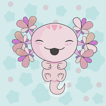 Animal, Axolotl, Nature. Free Stock Video - Pixabay