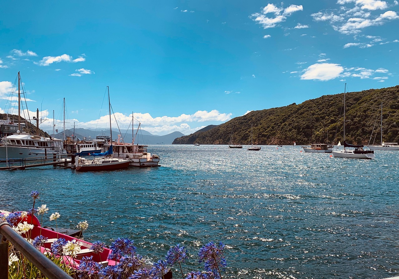 1+ Free Pictor & New Zealand Images - Pixabay