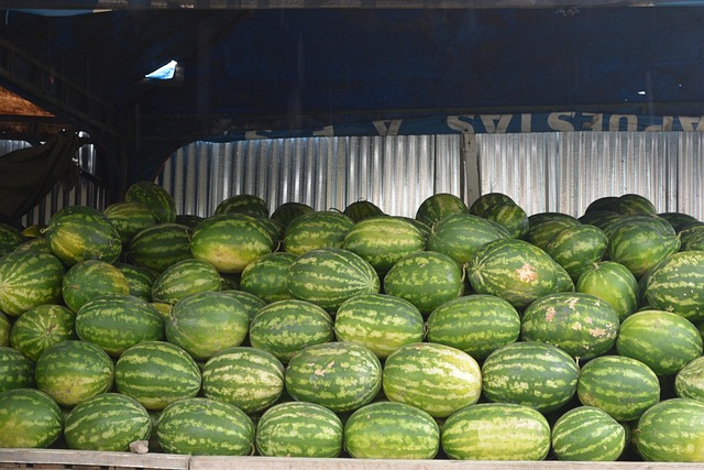 Watermelon Sandia Food - Free photo on Pixabay - Pixabay