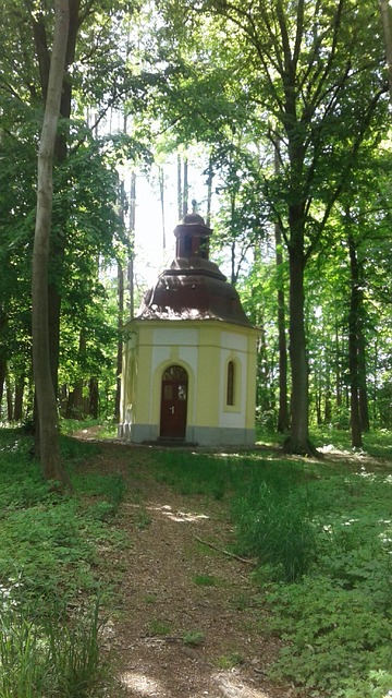 Kappeli Grove Puita - Ilmainen valokuva Pixabayssa - Pixabay