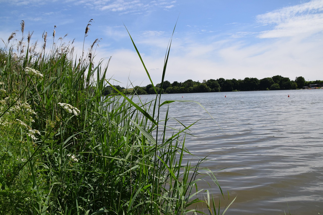 Eau Étang Nature - Photo gratuite sur Pixabay - Pixabay