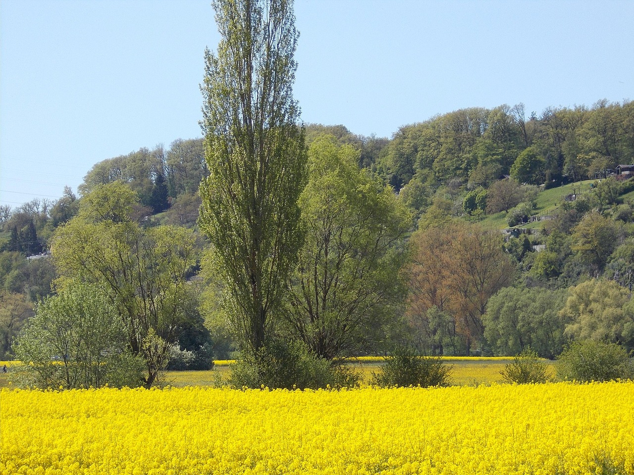 Landscape Nature Zoom-Background - Free photo on Pixabay - Pixabay
