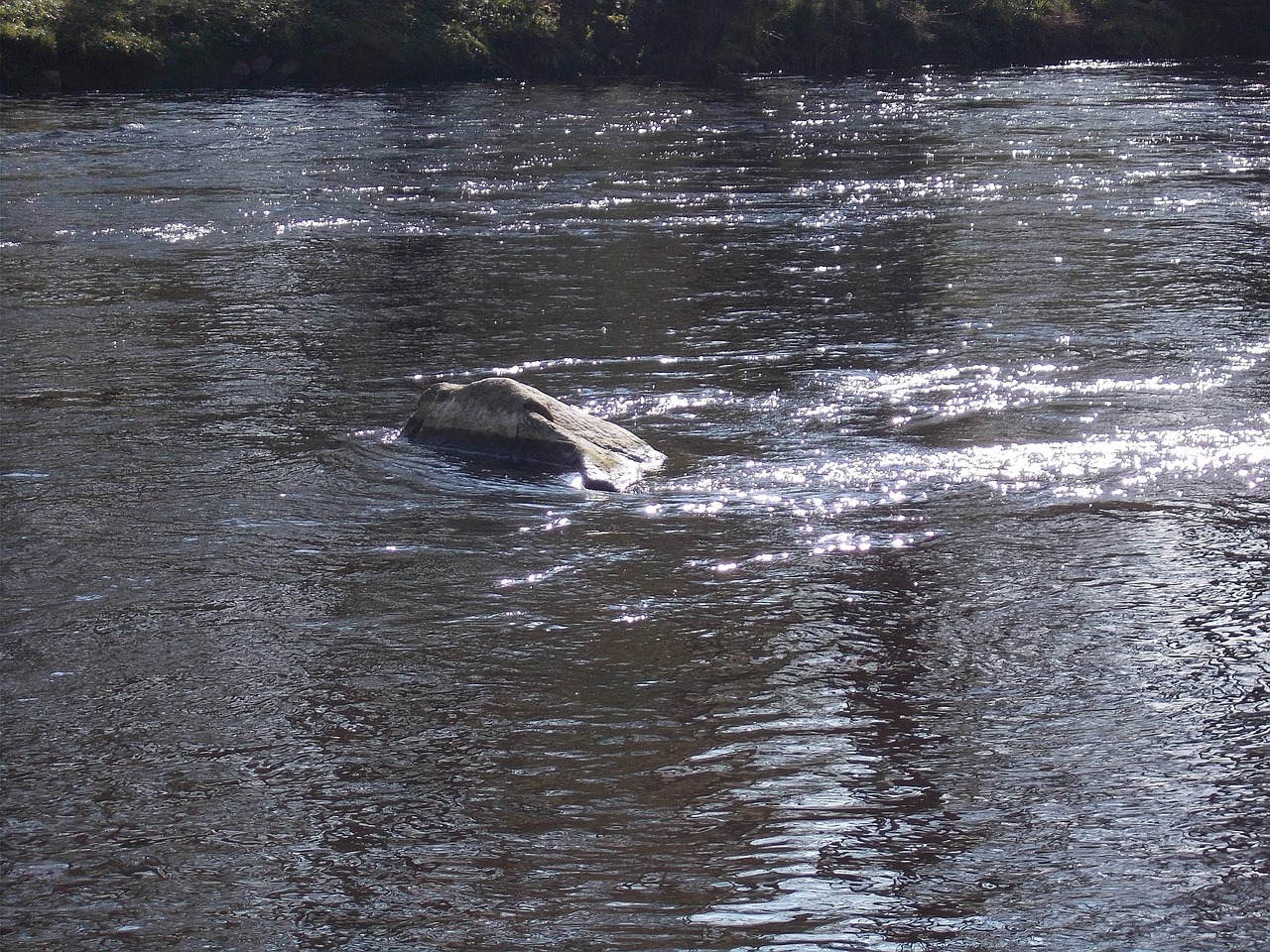 River Landscape Flow - Free photo on Pixabay - Pixabay