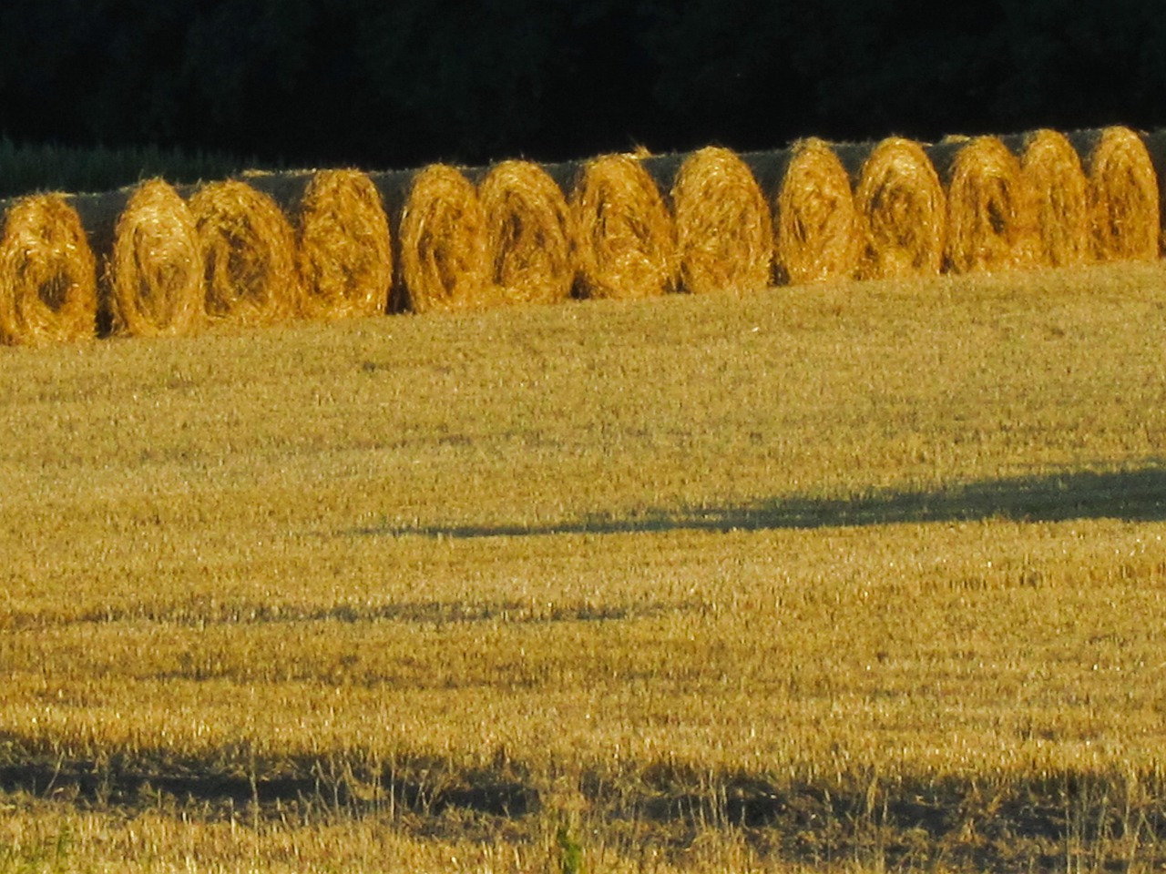 Ballots Paille Champ - Photo gratuite sur Pixabay - Pixabay
