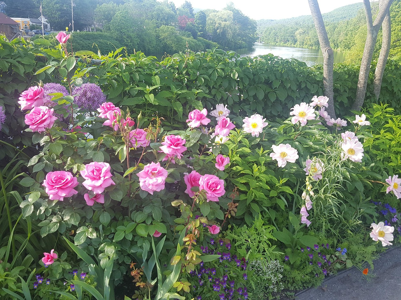 Flower Bridge Gardens - Free photo on Pixabay - Pixabay