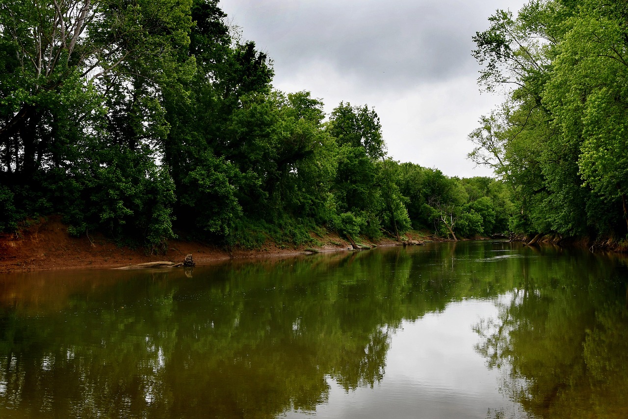 Fleuve Nature Parc Port-Royal - Photo gratuite sur Pixabay - Pixabay