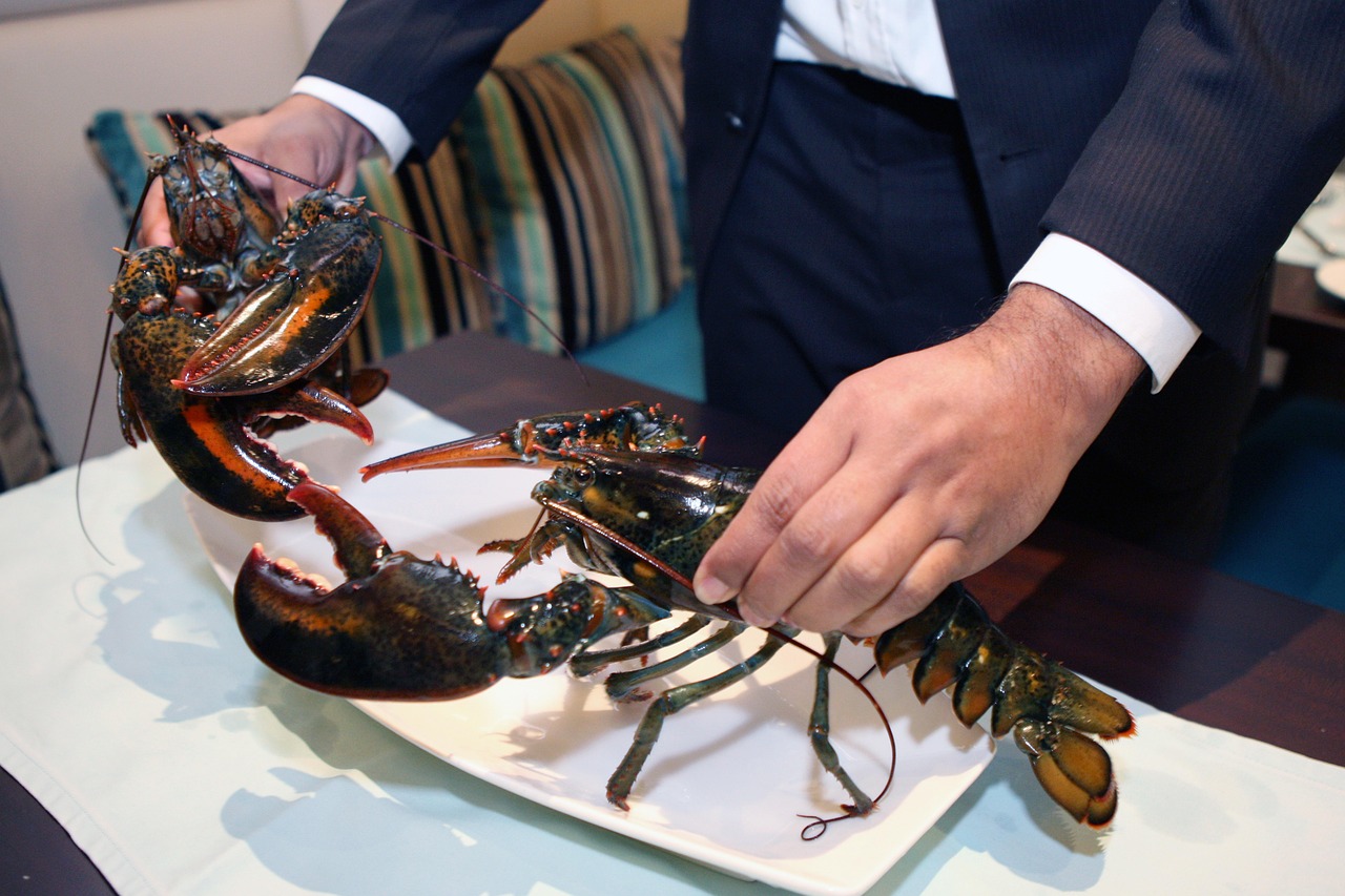 1+ Free Lobster In A Restaurant & Live Lobster Images - Pixabay
