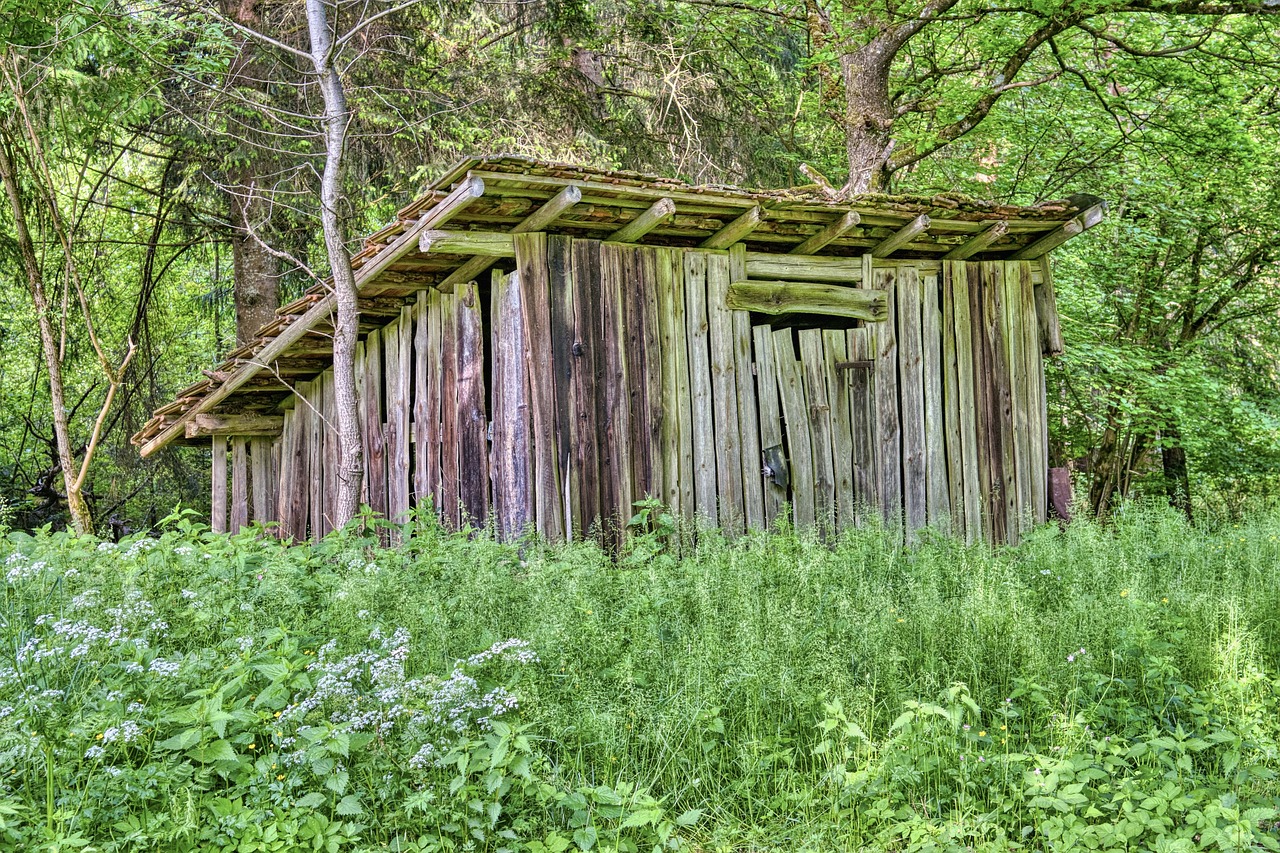 Hut Forest Nature Wooden - Free photo on Pixabay - Pixabay
