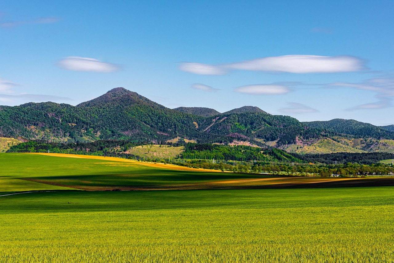 8,000+ Free Greenery & Nature Images - Pixabay