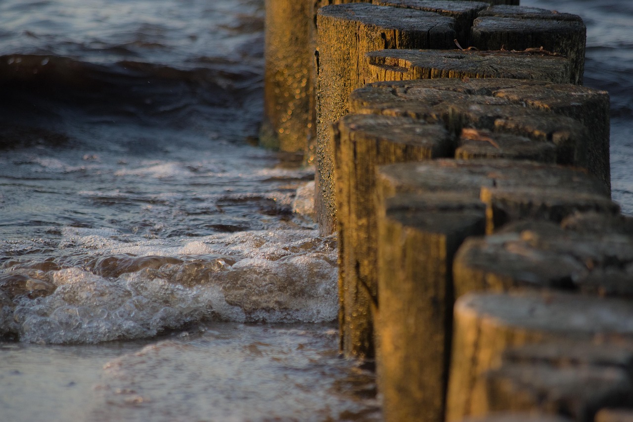 Sea Baltic Beach To - Free photo on Pixabay - Pixabay