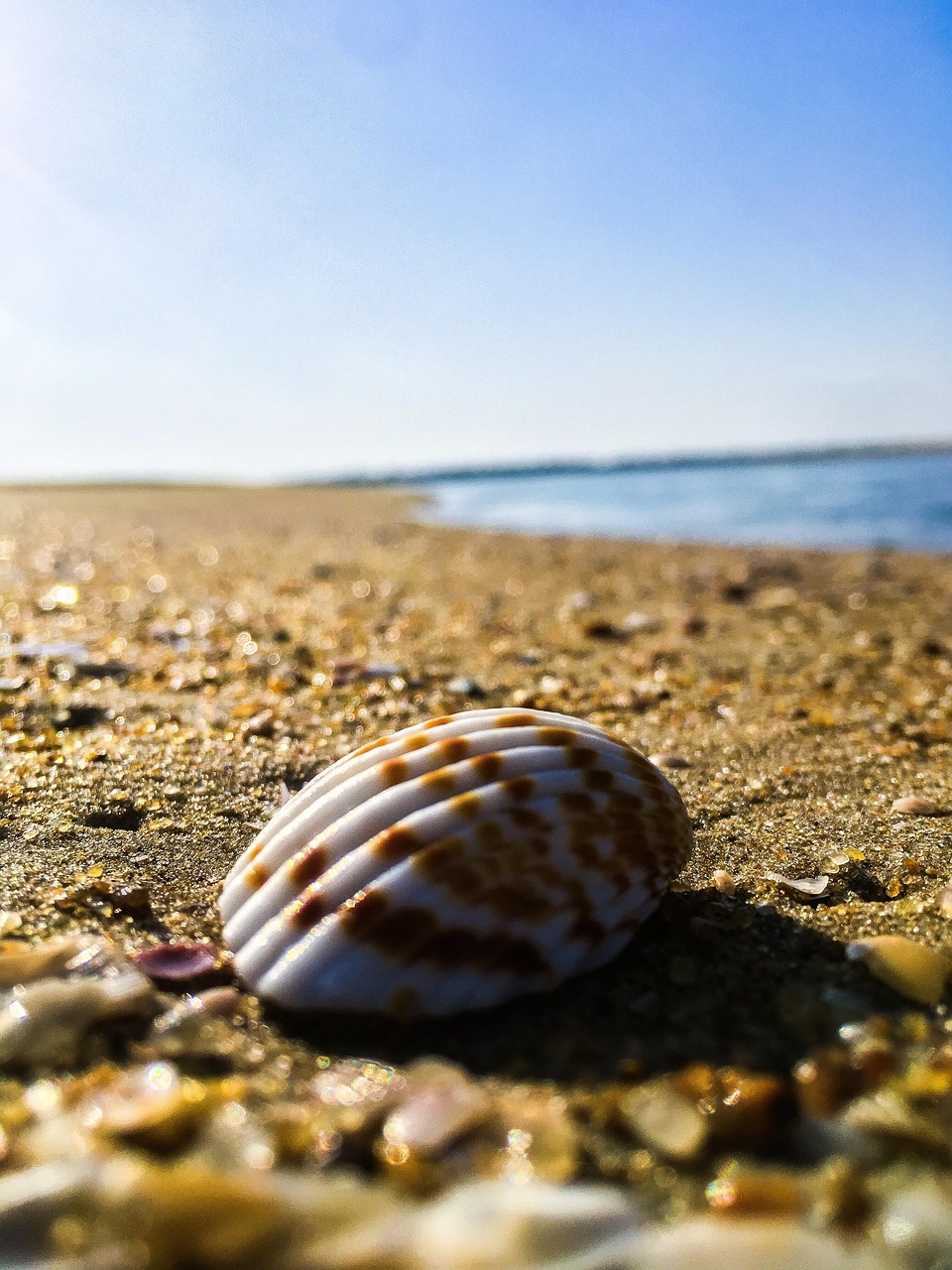 Contexte Plage Magnifique - Photo gratuite sur Pixabay - Pixabay