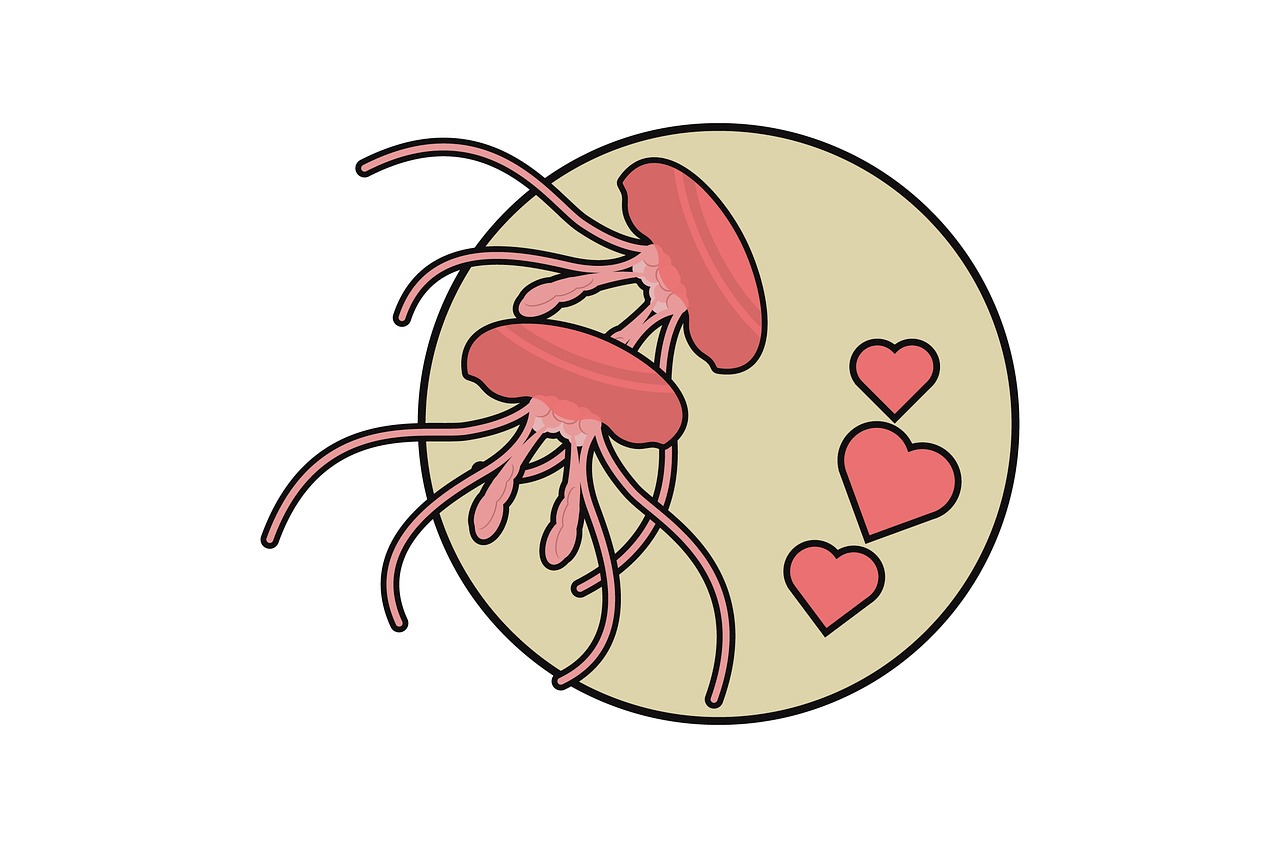 20,000+ Free Pink Jellyfish & Jellyfish Images - Pixabay