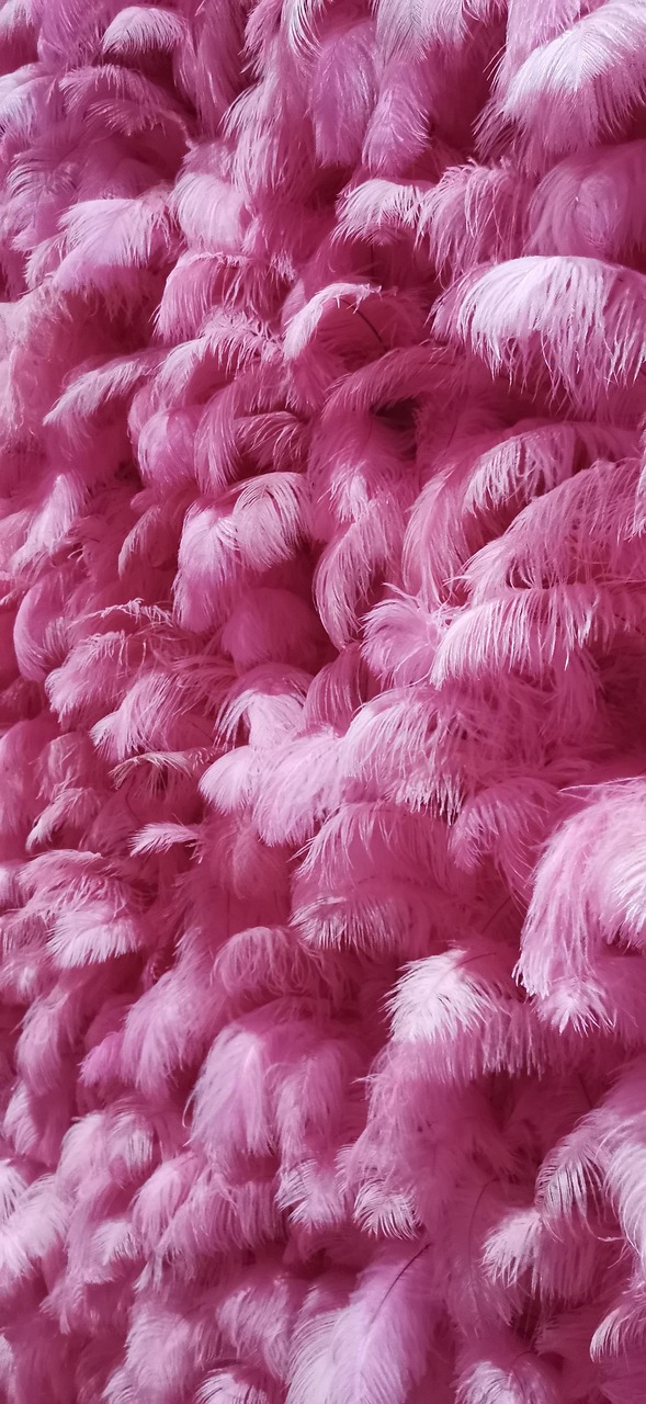 Pink-Bulu Latar Belakang Dinding - Foto gratis di Pixabay - Pixabay