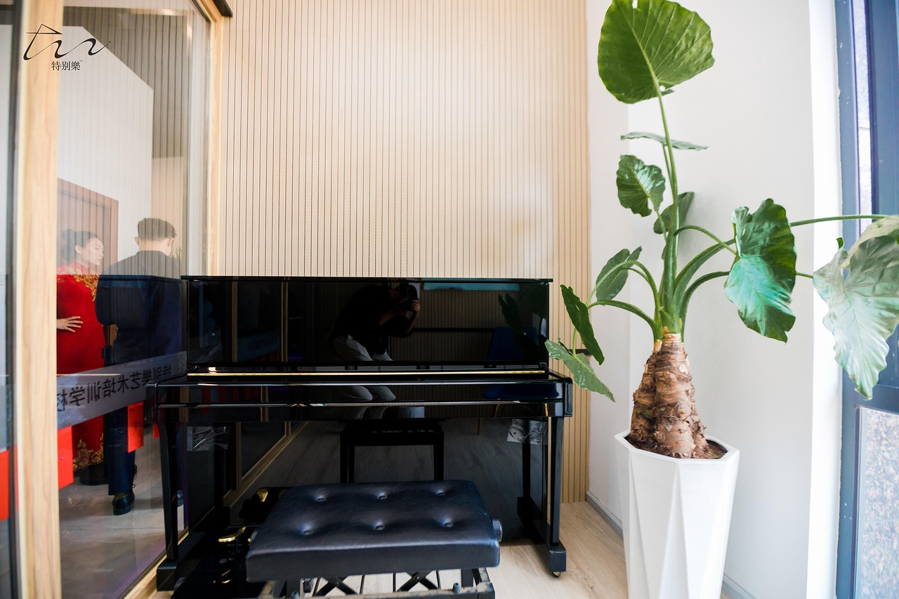 Piano Class - Pixabay上的免费照片 - Pixabay