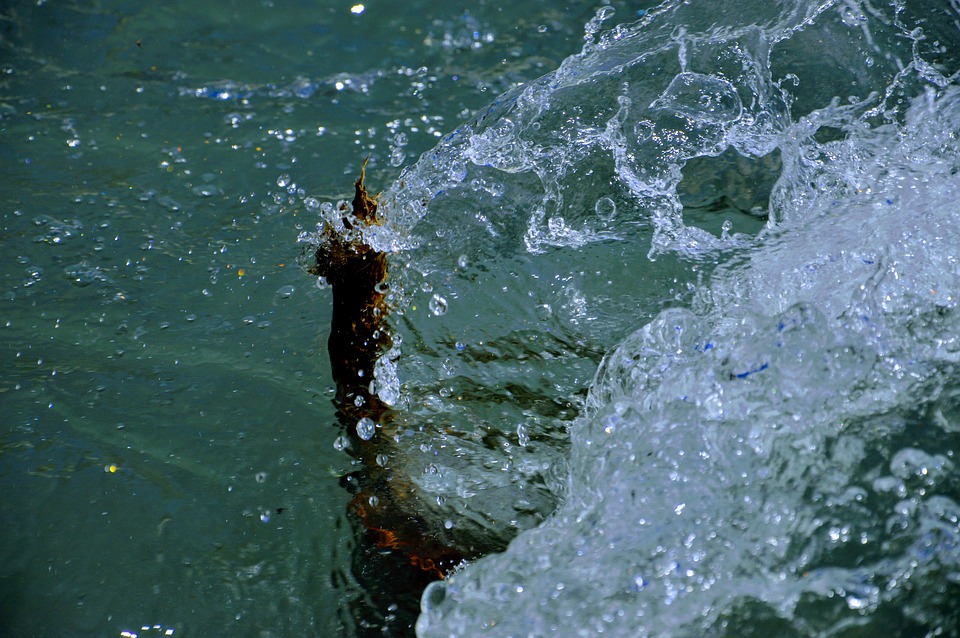 The River Water Games Torrent - Free photo on Pixabay