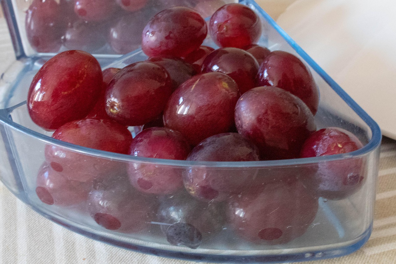 Uva Food Fruit - Free photo on Pixabay - Pixabay