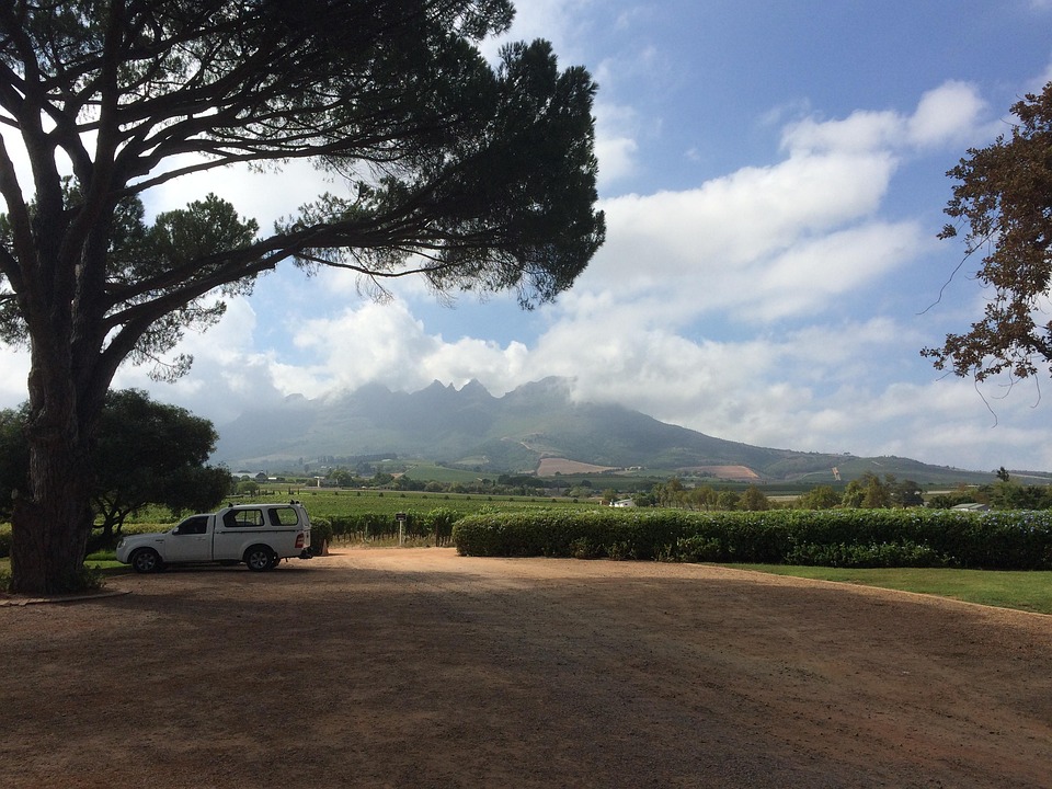 South Africa Winery Wine Valley Of - Free photo on Pixabay - Pixabay