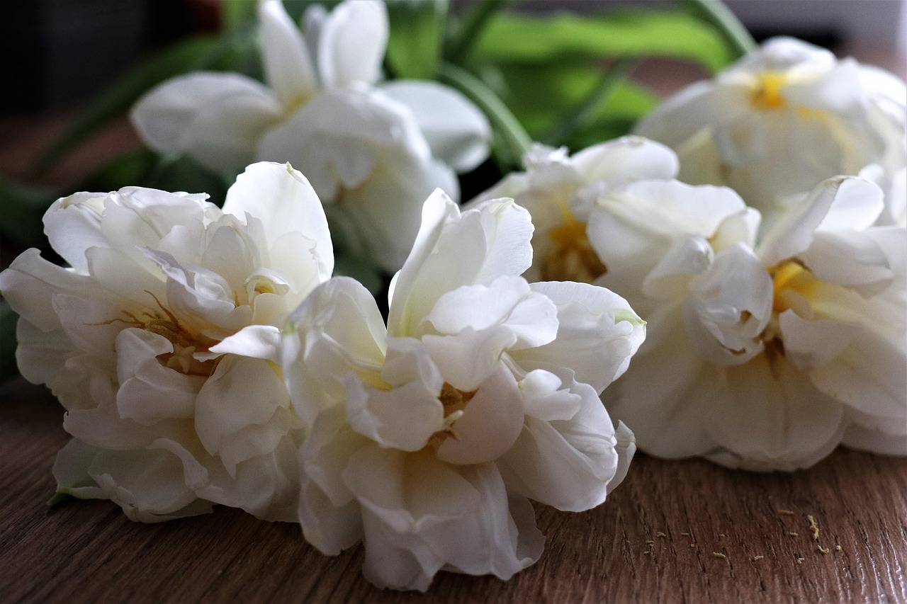 8,000+ Free Flashback Memories & Memory Images - Pixabay