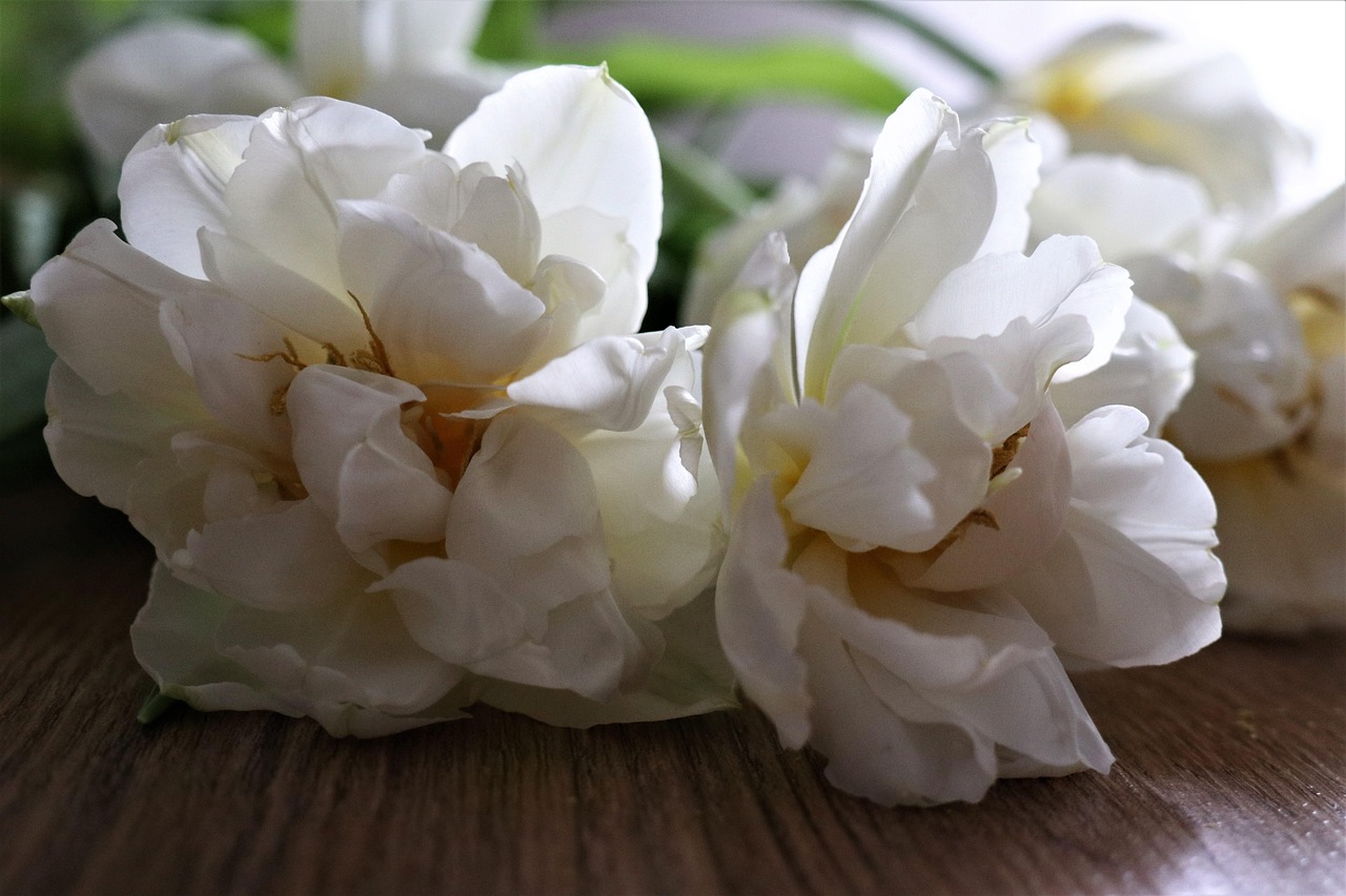 8,000+ Free Flashback Memories & Memory Images - Pixabay