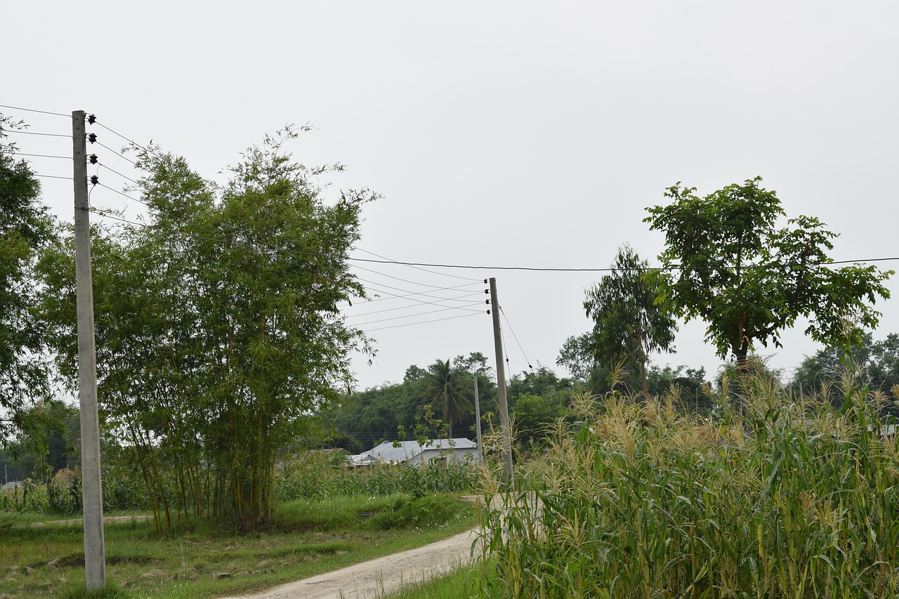Local Road Gravel Village - Free photo on Pixabay - Pixabay